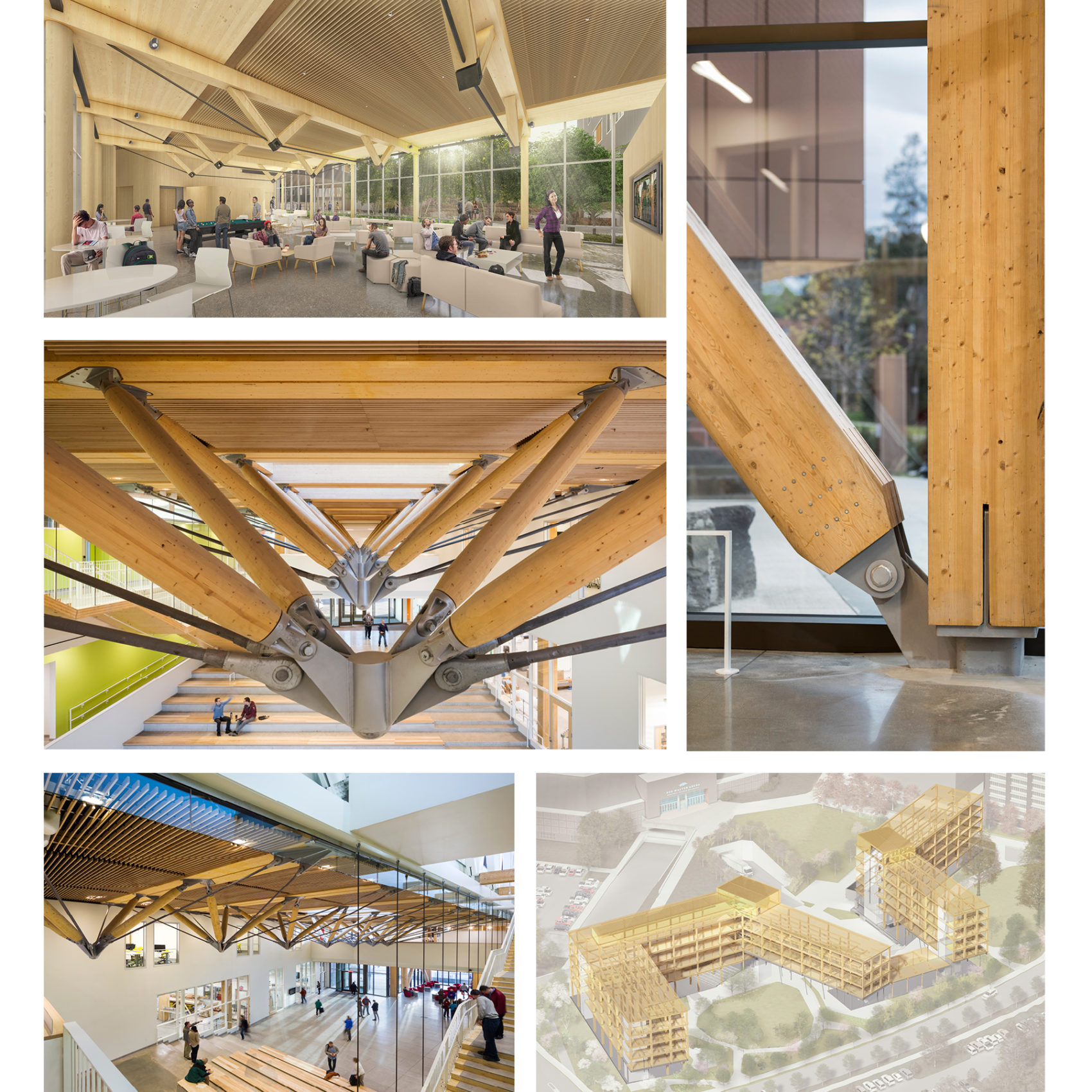 Taking the Lead in Academic CLT Design/Construction in the U.S. - Leers ...