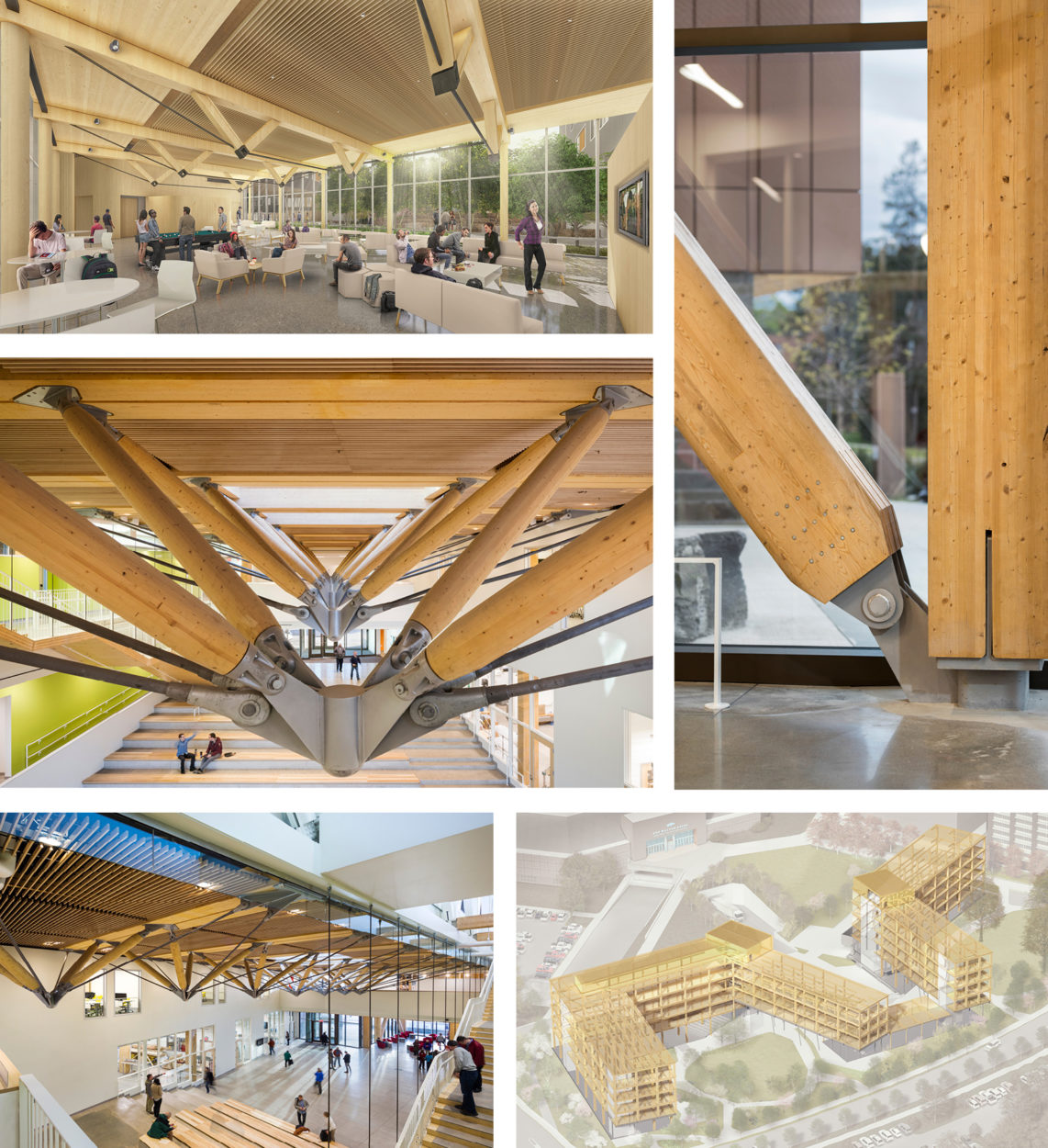 Engineered Timber - Leers Weinzapfel Associates